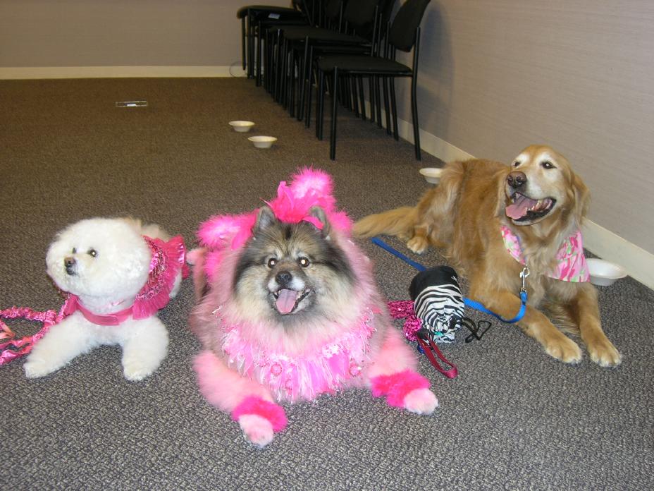 2011 Pink Pooch Parade
